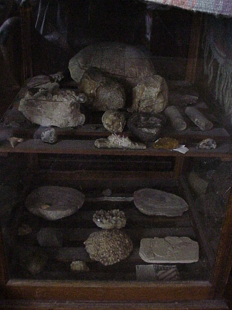 South Dakota Badlands - Fossil Hunting Trips - The Fossil Forum